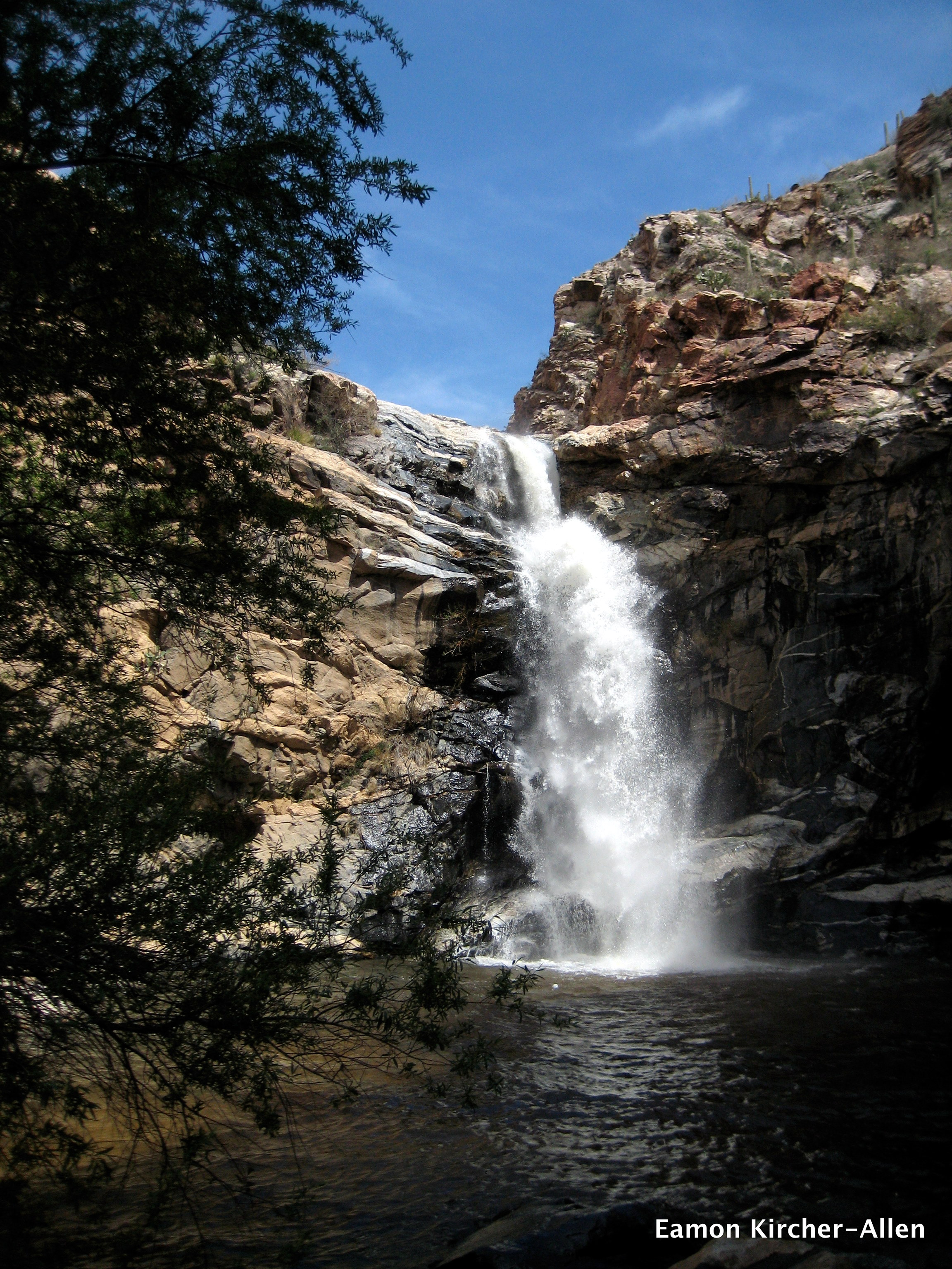 Sonora Spring | Eamon Kircher-Allen